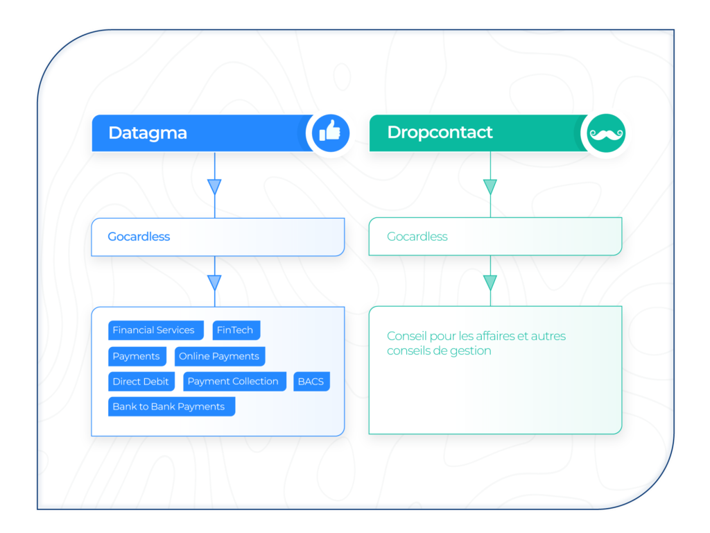 Boost Your Data Needs with Datagma's Dropcontact Alternative